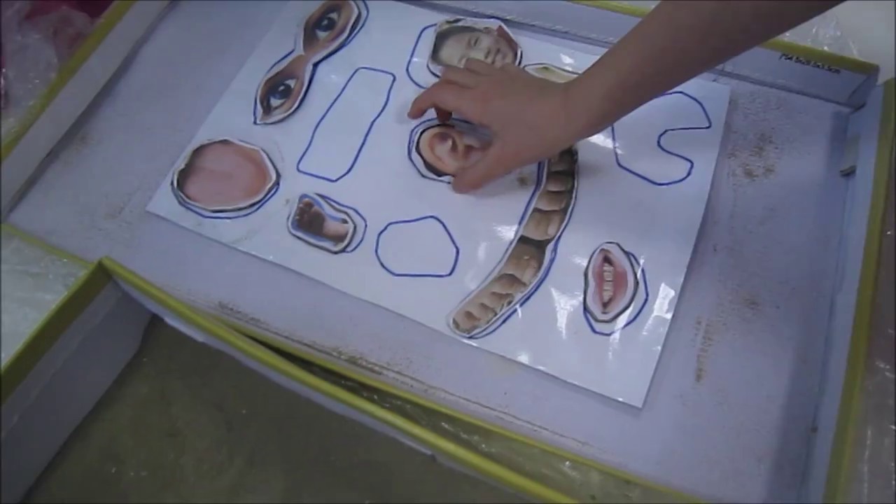 Sandbox | Body Parts EFL Learning - YouTube