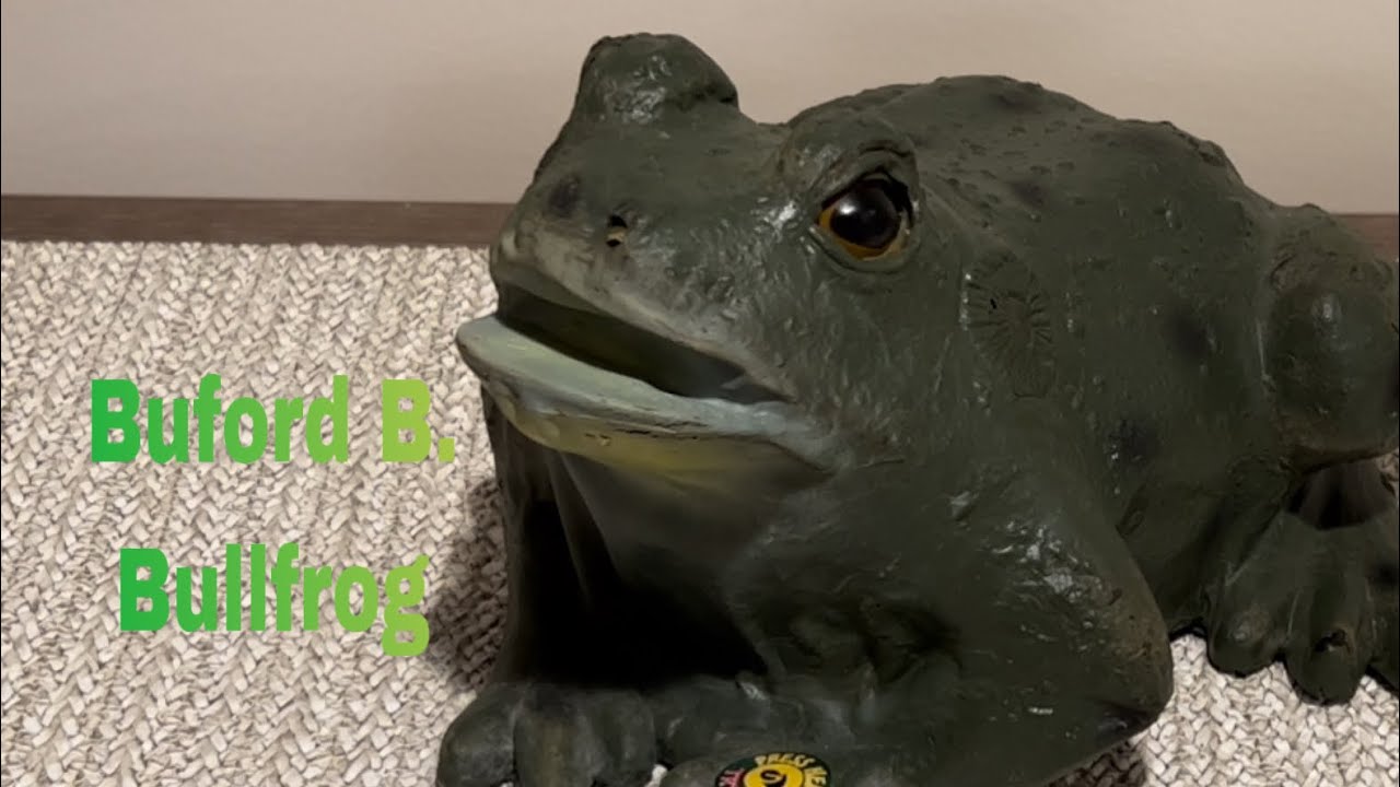 ‘Buford B. Bullfrog’ The Croaking Crooner - YouTube