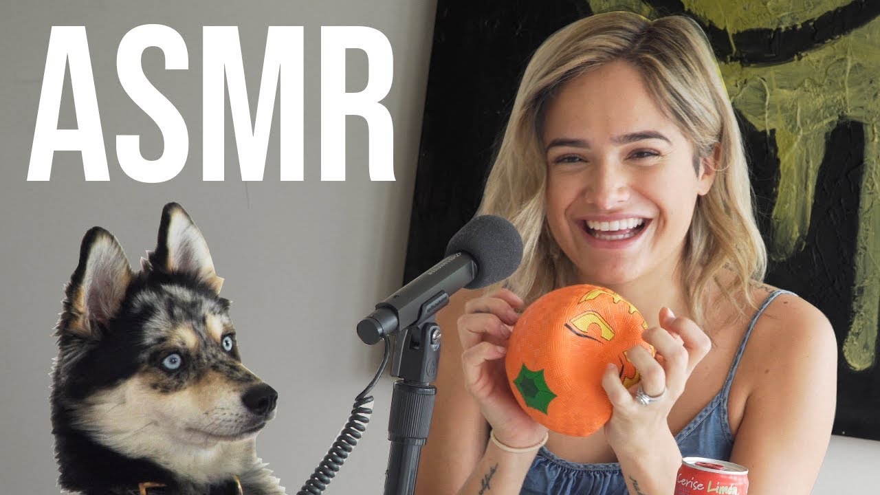 Trying ASMR | My Dog Tries ASMR - YouTube