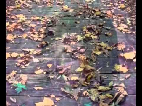 DENİZ SEKİ- Kalbimi kim çalıyor...i don't now