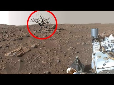 Perseverance Rover Footage - 887 | Perseverance Rover Update | Mars ...