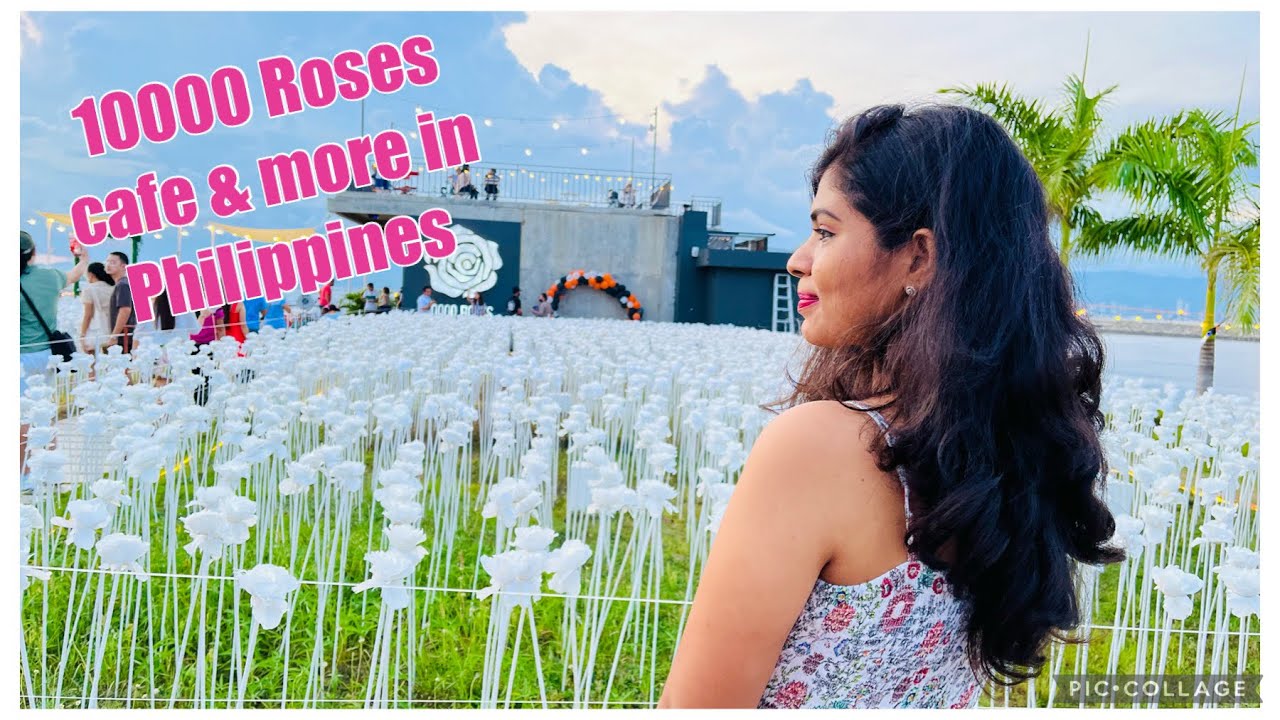 10000 Roses cafe & more in Philippines || Cebu city || Best places to ...