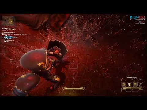 BoneWidow   Warframe (2020)