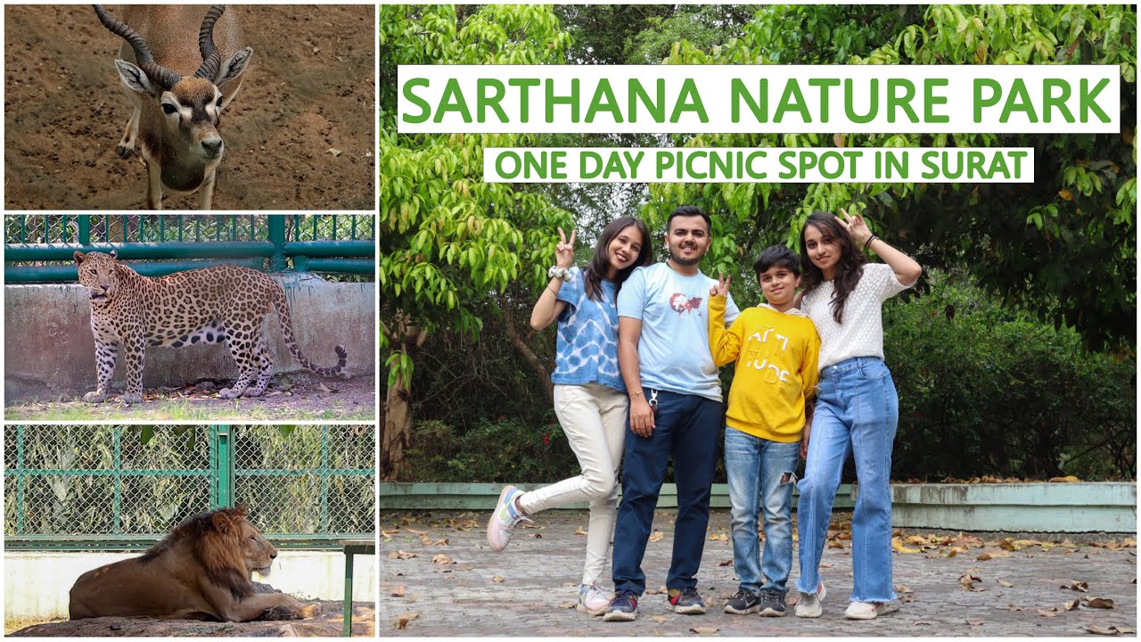 Sarthana Nature Park | One Day Picnic Spot | Zoo | Chidiya Ghar | Surat ...