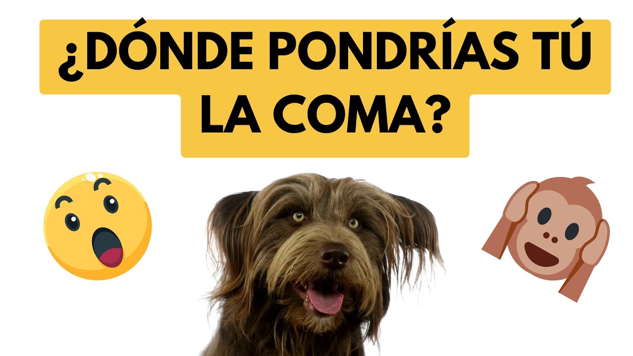 ¿Dónde pondrías tú la coma? (Comas que cambian el sentido de una ...