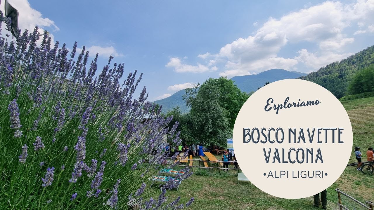 Valcona e Bosco delle Navette 17 luglio 22 - YouTube
