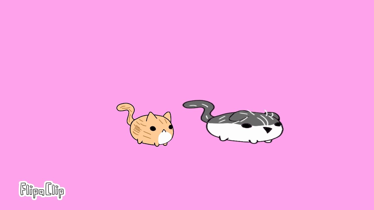 코비와 베리 [Cobi and berry] - YouTube