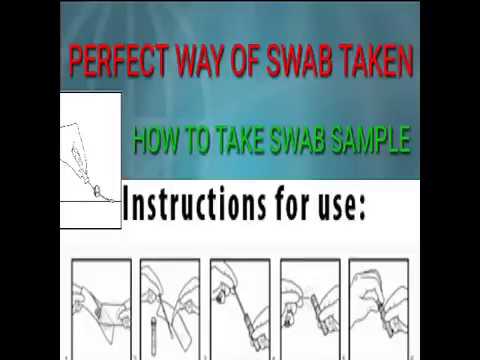 How to take swab sample//swab sampling 📈 - YouTube