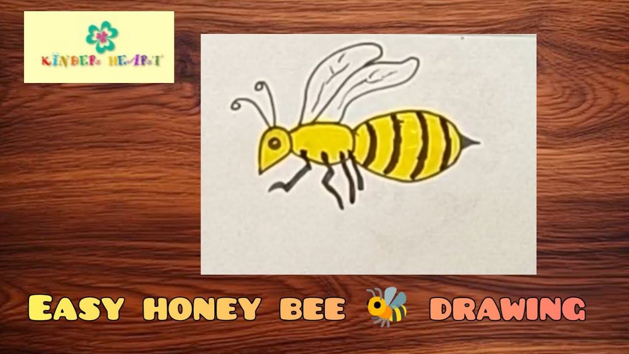 Easy and quick drawing of Honey Bee 🐝||Kids drawing ideas || Honey Bee ...