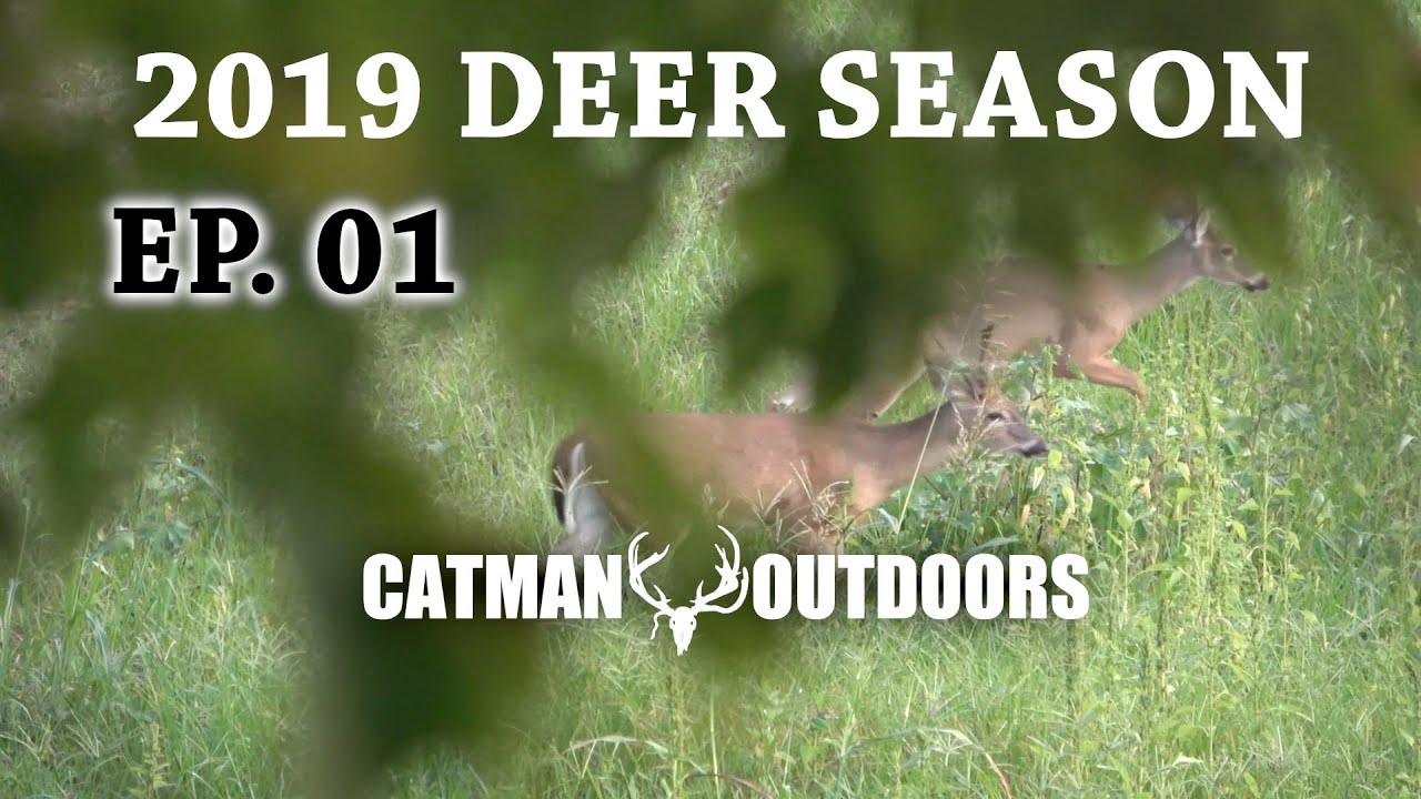2019 Deer Season, Ep. 01 - Hunting a Bachelor Group of Bucks - YouTube