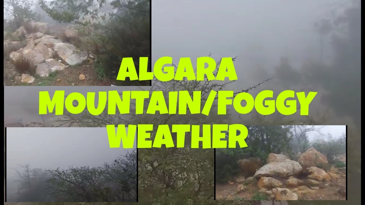 ALGARA Mountain/foggy weather/ABHA/SAUDI ARABIA - YouTube