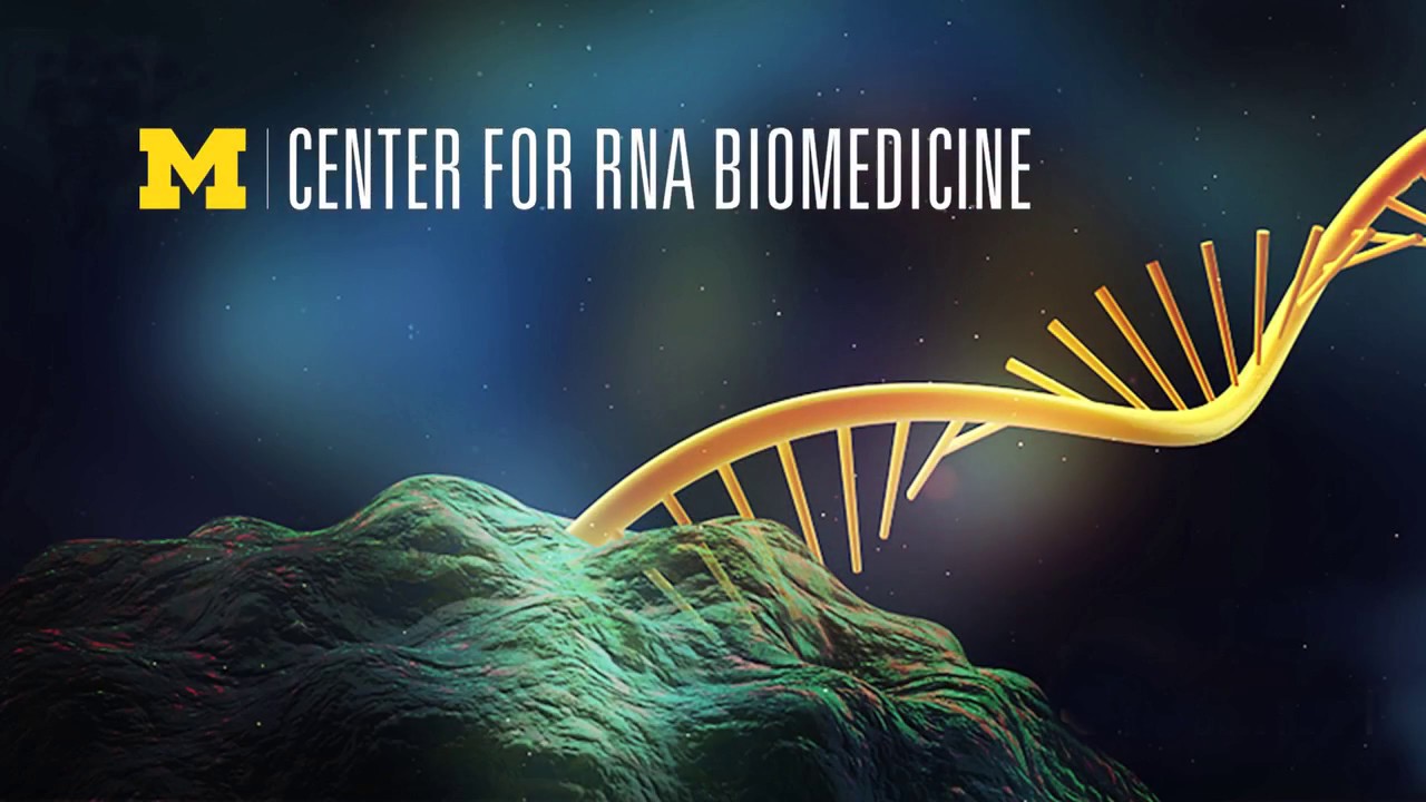 Center for RNA Biomedicine Informational Video 2016 - YouTube