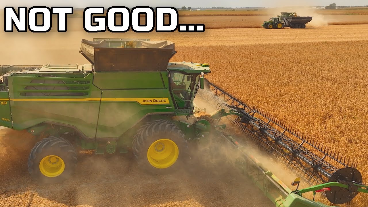 Bad Soybean Yields AND Prices Could Break Us! - YouTube