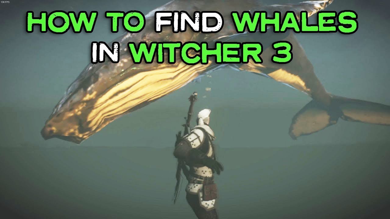 HOW TO FIND WHALES - WHALE SPAWN LOCATION in Witcher 3! - YouTube
