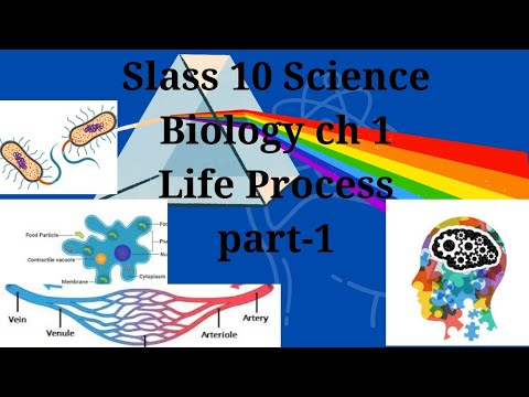 Revision of ch- Life process part 1 class 10th I class 10 bio ch 1 ...