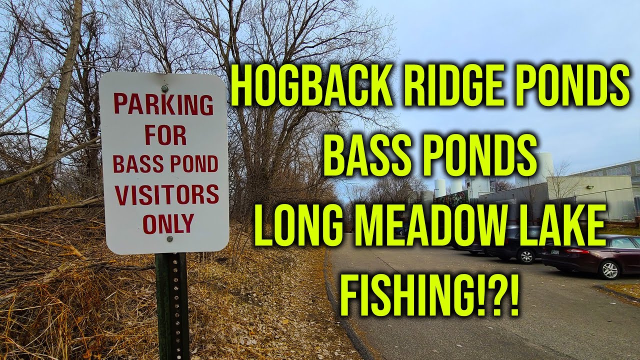 Hogback Ridge Ponds - Bass Ponds - Long Meadow Lake - 3/14/2021 - YouTube