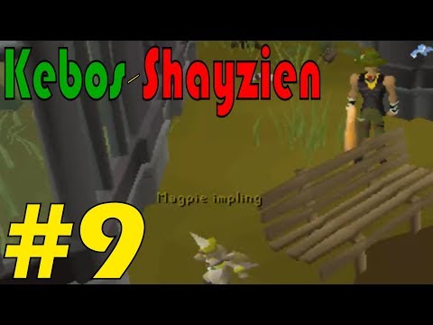 Kebos-Shayzien Locked Ironman #9 - The magpie impling