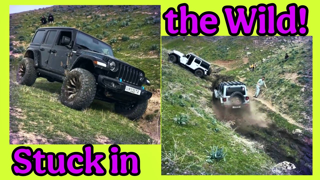 Stuck in the Wild! Craziest Off-Roading Ever! 🤯 - YouTube