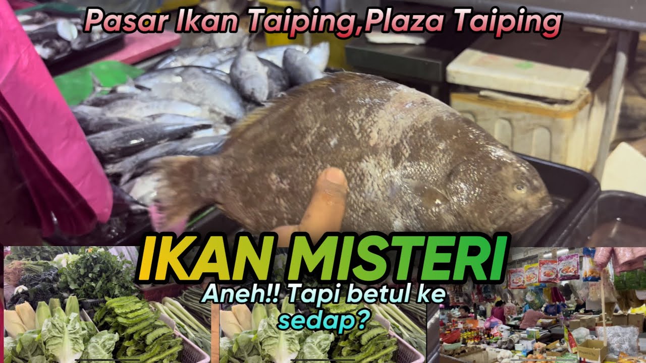 PASAR IKAN TAIPING,PLAZA SAYUR..Bertemu ikan pelik?? - YouTube