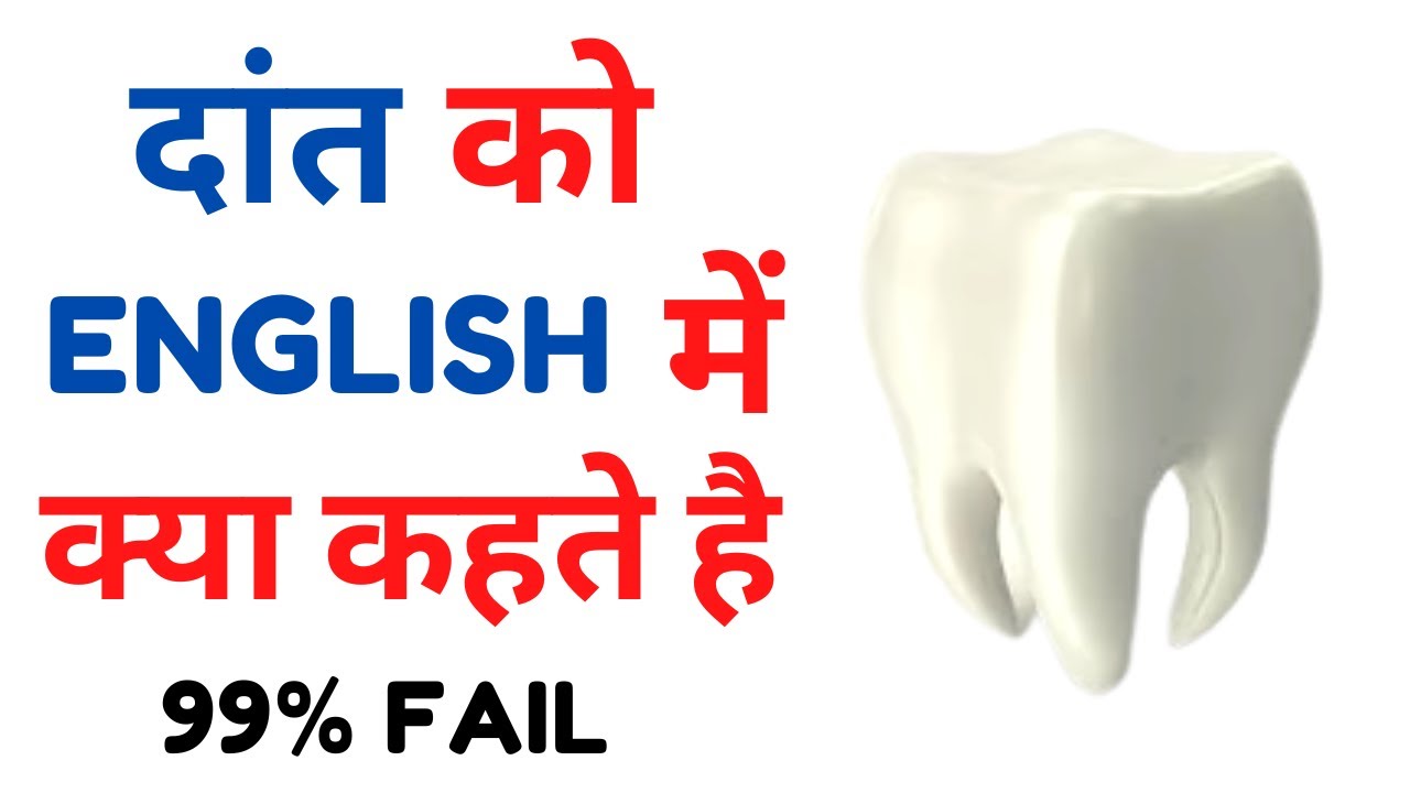 दाँत को अंग्रेजी में क्या कहते है ? What is Daant meaning in english ...