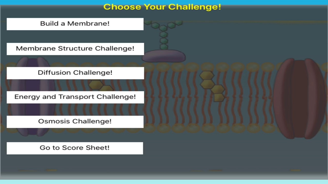 Game membrane structure challenge. Biologia celular - YouTube