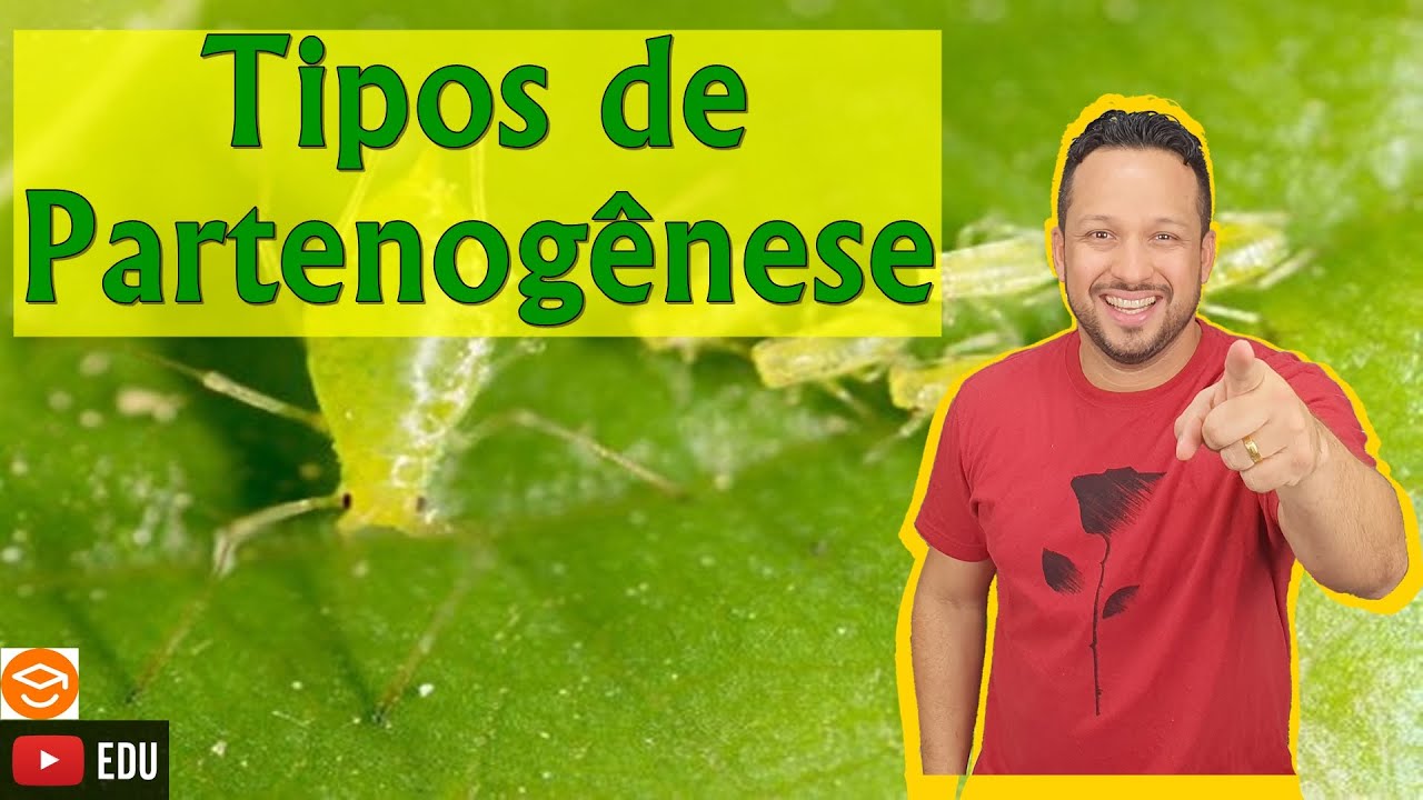 Tipos de Partenogênese - Arrenótoca, Telítoca, Deuterótoca, Artificial ...