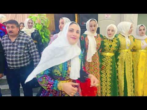 Dugün Şanlıurfa Suruç canavar Şevko 2025 4K