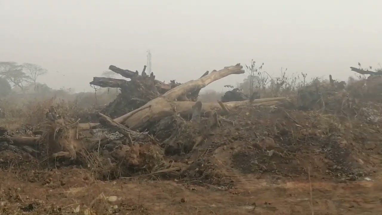 Arcview Launches her juicy and Treasured Island Estate Igbogbo, Ikorodu ...