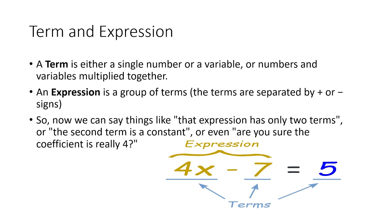 2tcuriousminds - Equation - Basic Terminologies of Algebra - YouTube