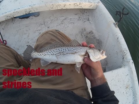late fall inlet fishing - Virginia beach, VA (rudee inlet) - YouTube