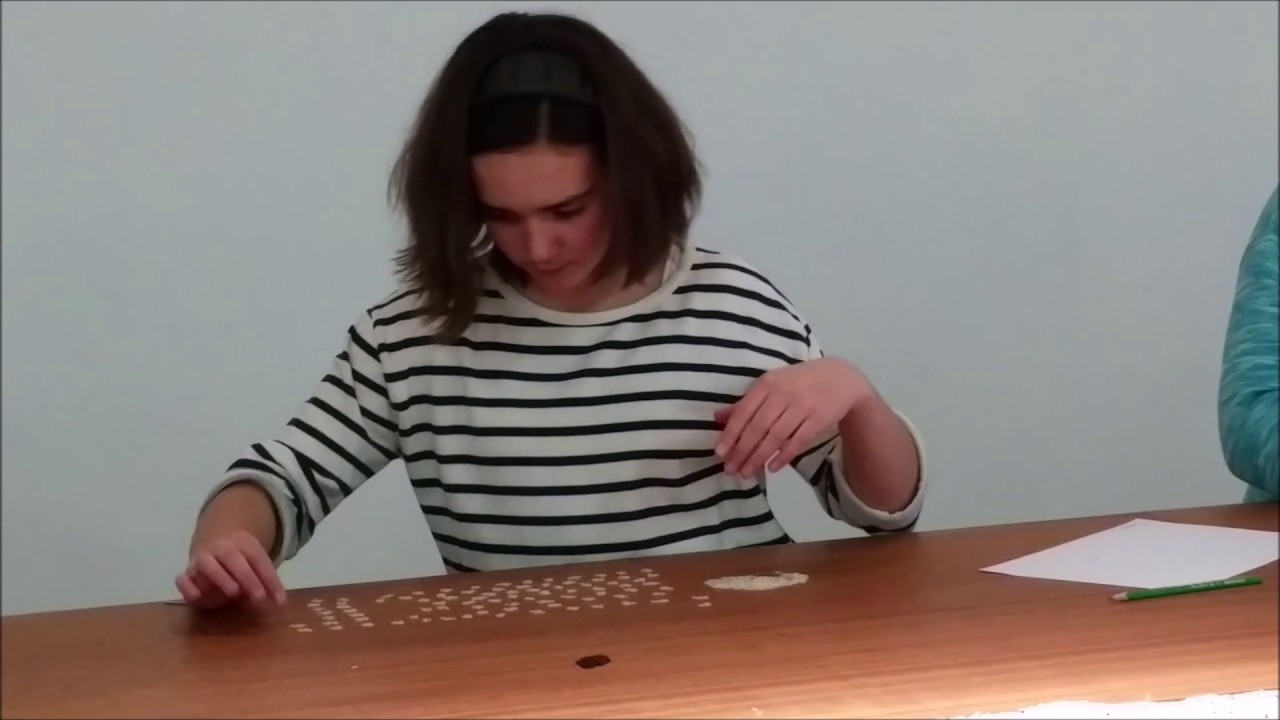 Counting the Rice, Moderna Museet - YouTube