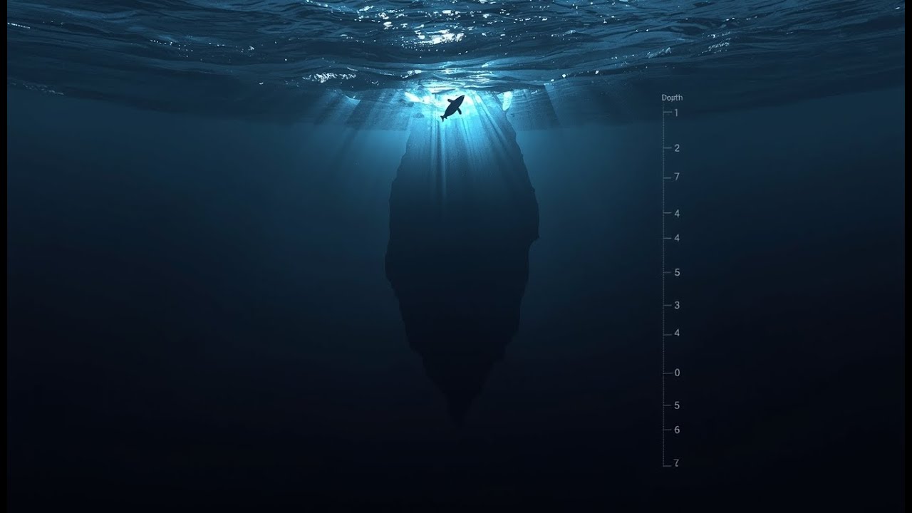 How Deep Is the Ocean Really? | From Blue Whales to the Mariana Trench ...
