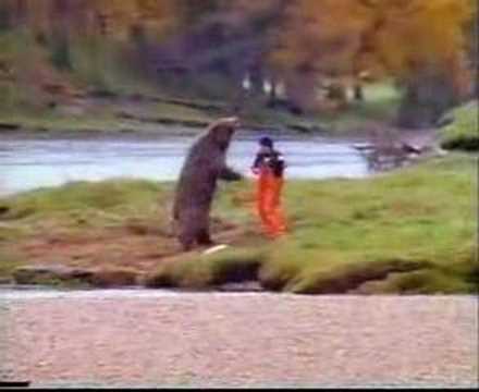 KARATE BEAR