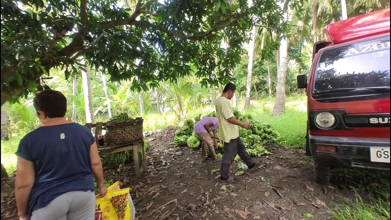 Bisita sa Farm - YouTube