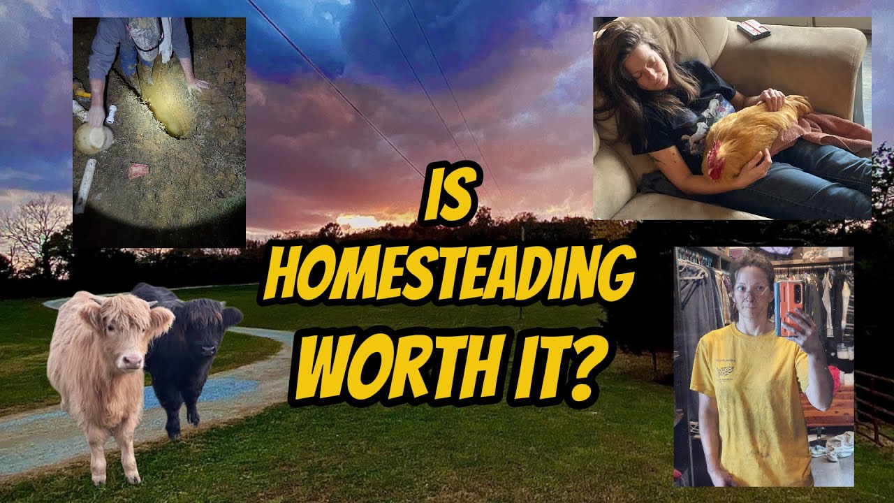 Homesteading Reality Check: 8 Things to Know BEFORE You Start - YouTube