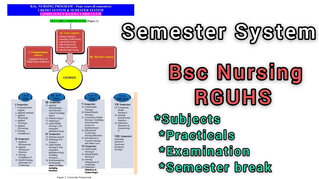 semester-syllubus-rguhs-bsc-nursing