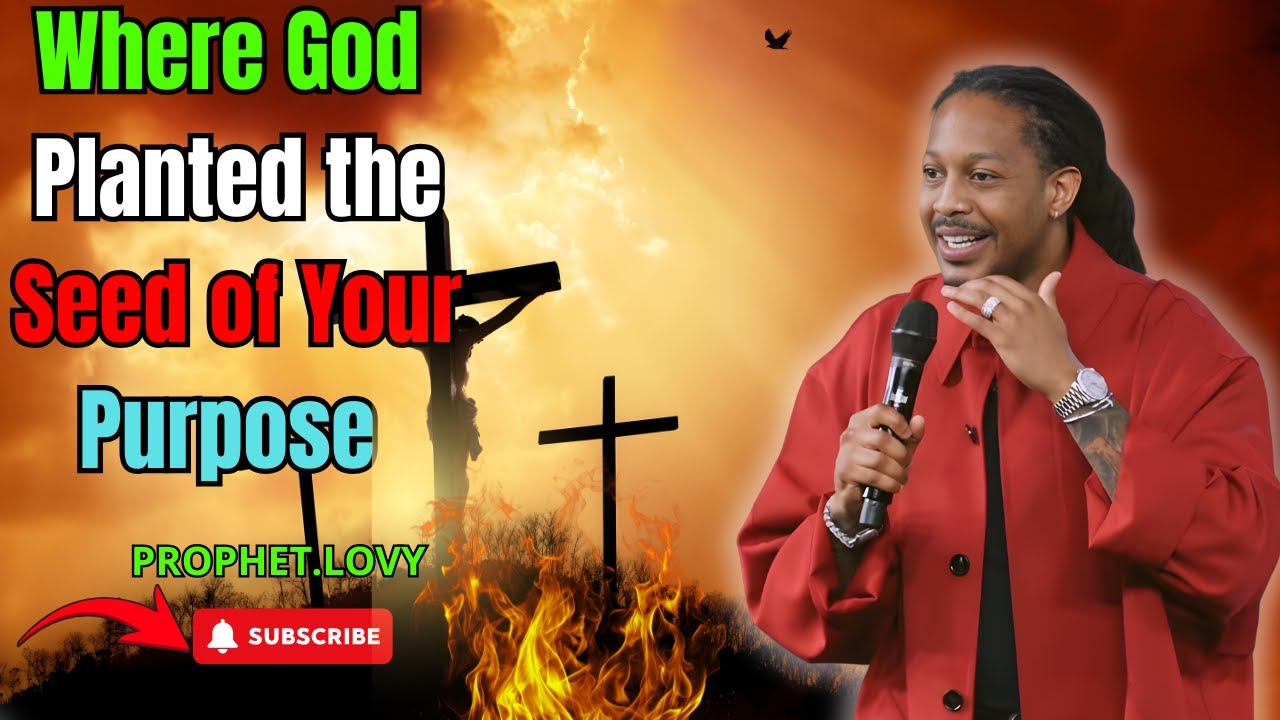 Where God Planted the Seed of Your Purpose PROPHETIC SERVICE PROPHET ...