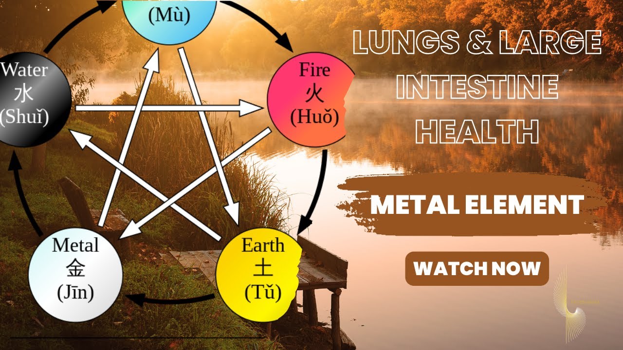 Metal Element Explained - Lung & Large Intestine #chinesemedicine - YouTube