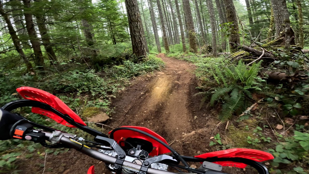 Riding Trail 1 Reverse Shotgun Creek OHV (May23) - YouTube