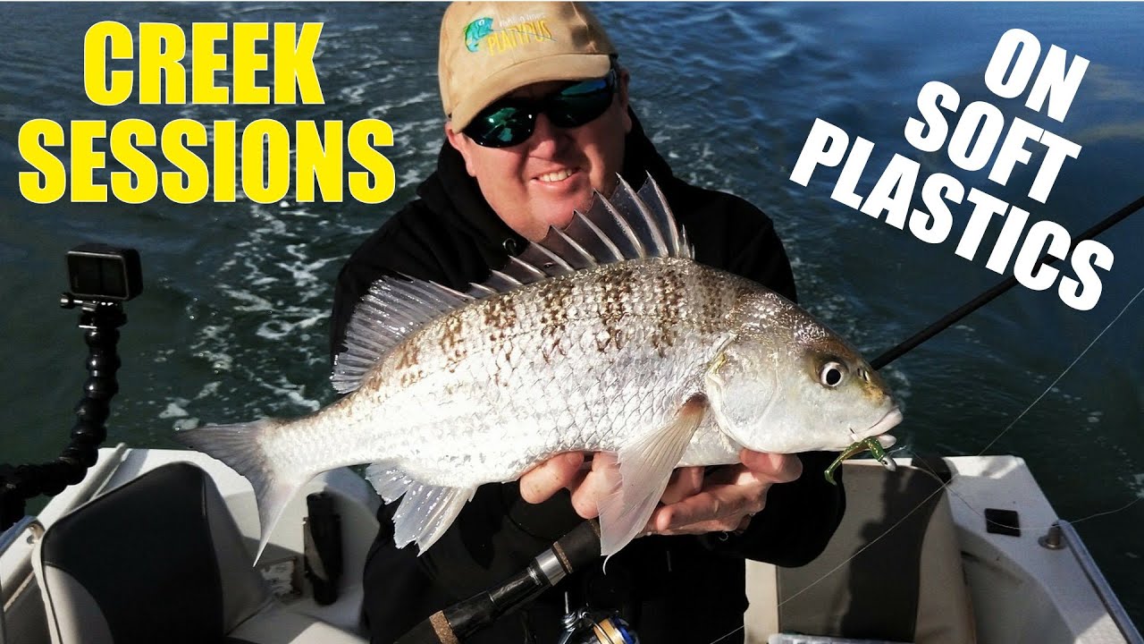 The Creek Sessions with Paul Chew - Fishing Soft Plastics - YouTube