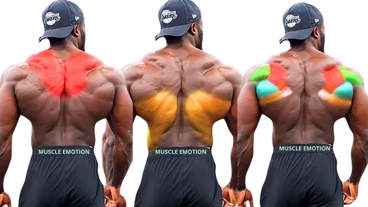 TOP 5 LAT MIDDLE BACK TRAPS WORKOUT WITH DUMBBELLS CABLE AND MACHINE AT ...