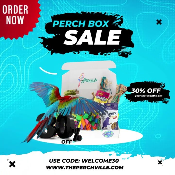 Blue-Perch Box Sale Order Now (1).mp4 - YouTube