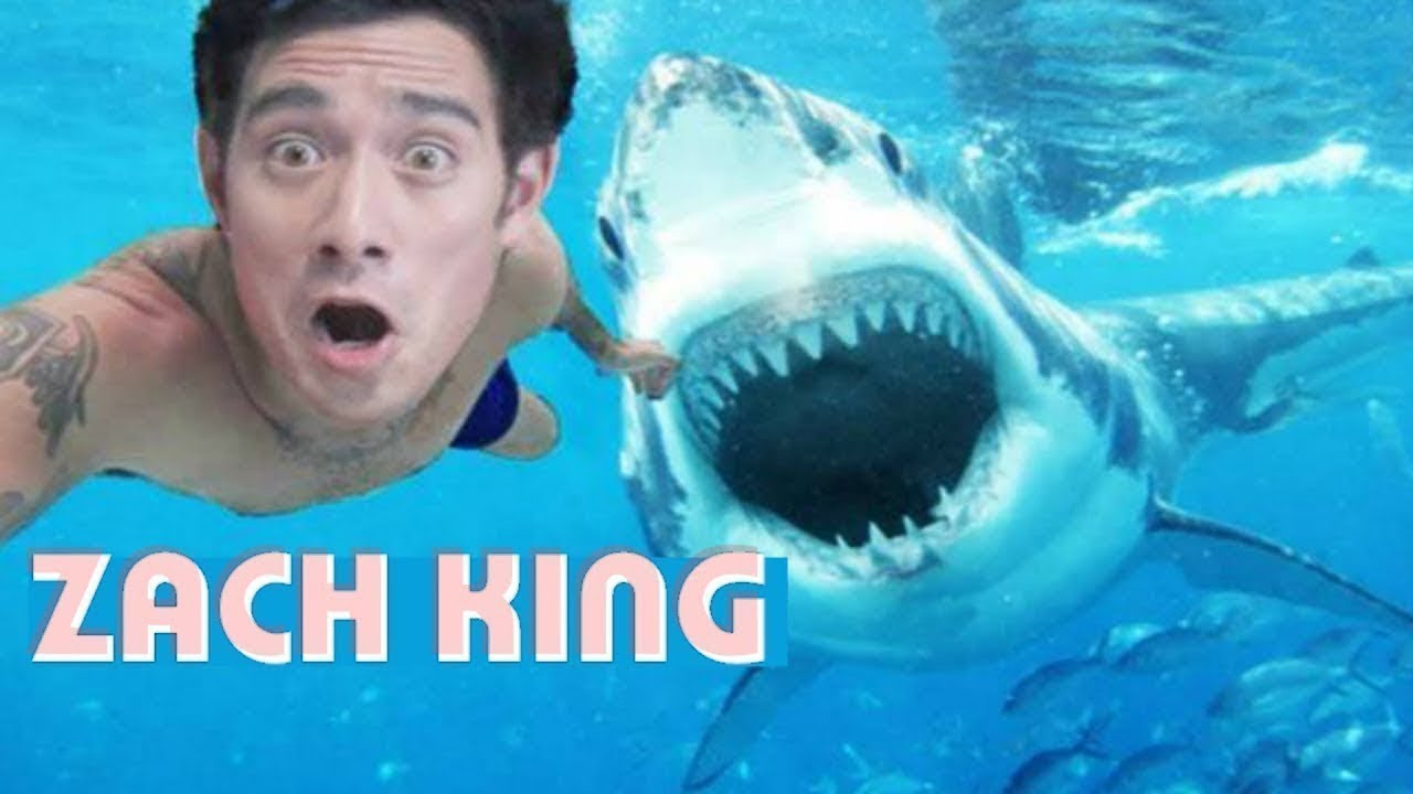 New Best Zach King Magic Vines Compilation All Times - YouTube