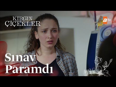 Sınav parası pirzolaya gitti! - Kırgın Çiçekler 85. Bölüm