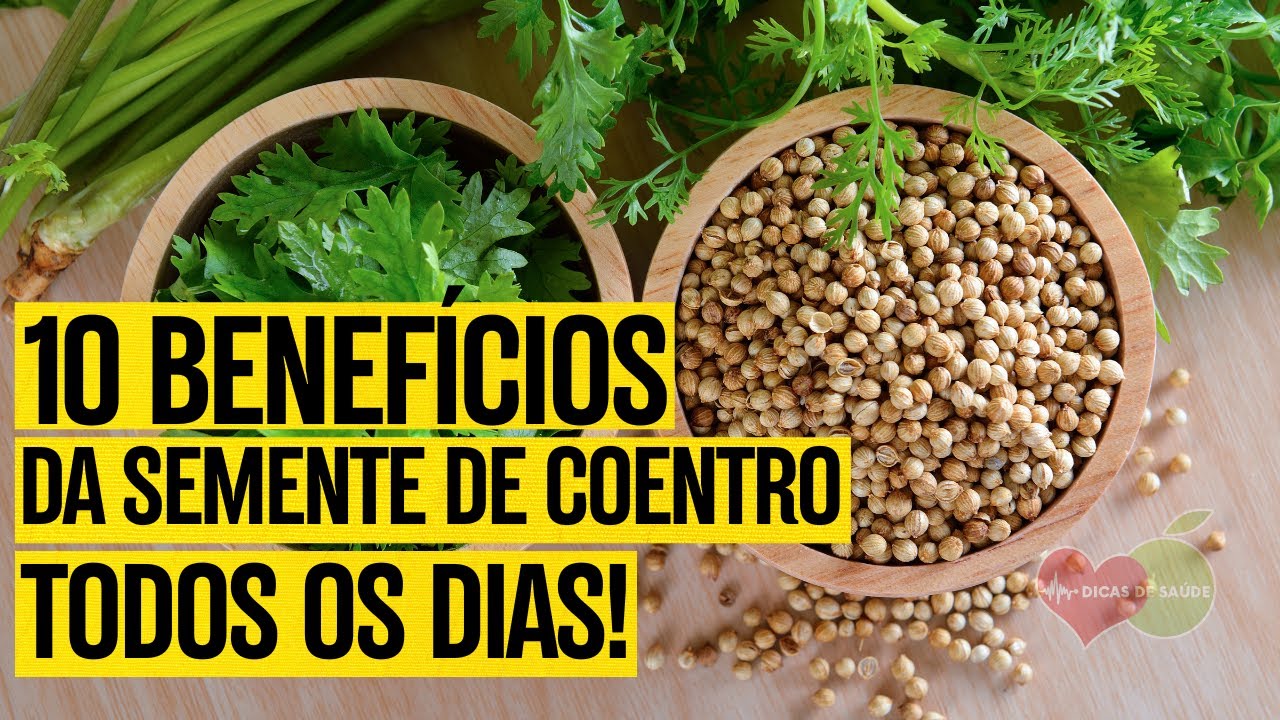 10 Benefícios da SEMENTE de COENTRO: Para que Serve e Como Usar - TEM ...