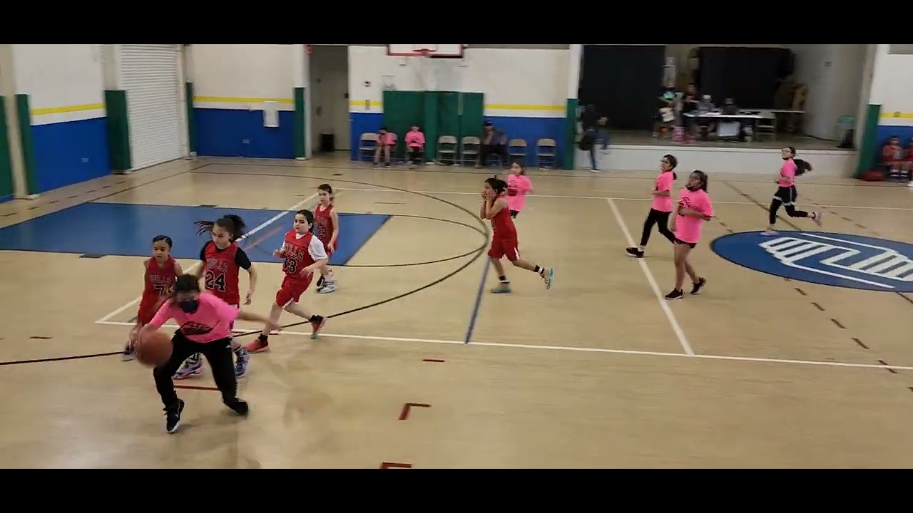 The Lady Bulls game 1 - YouTube