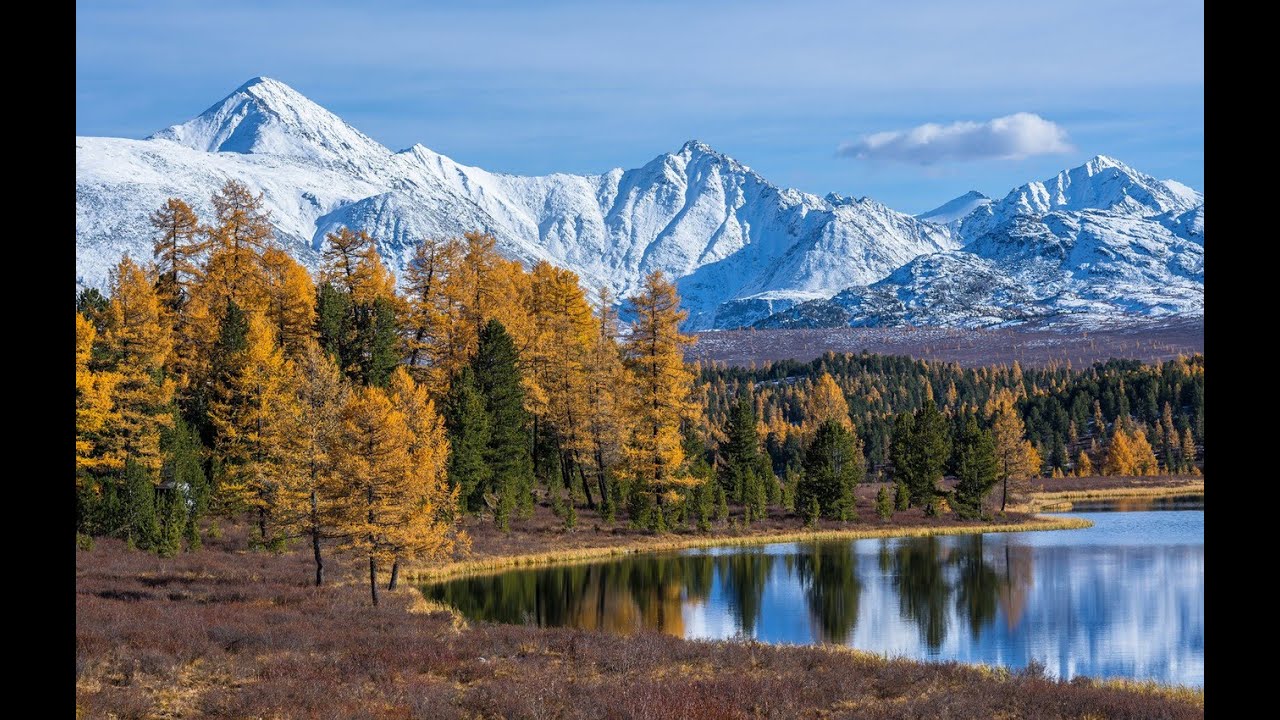 Majdnem Szibéria, vagy Alaszka! - bushcraft - wild forest - Alaska ...