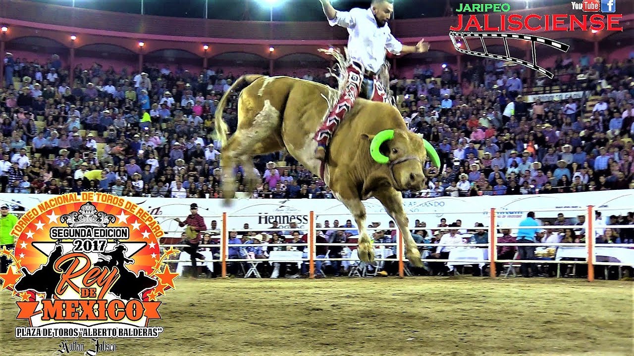 ¡REY DE MÉXICO 2017! EL TORNEO NACIONAL DE TOROS DE REPARO MAS ...
