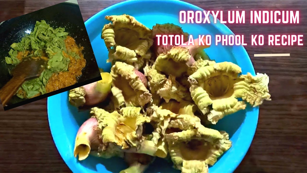 Totola ko phool ko tarkari | Indian trumpet | Oroxylum , Nepali cuisine | totola ko phool ko ...