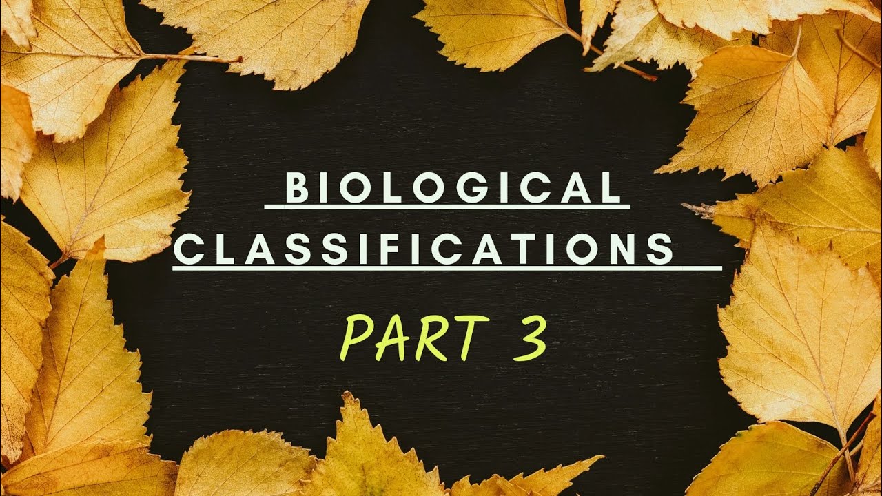 Kingdom Monera | Ch.2 Biological Classifications | By Vaishnavi Porwal ... Kingdom Monera | Ch.2 Biological Classifications | By Vaishnavi Porwal ...